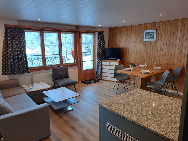 Chalet Burgstein, Wohnung Silberdistel - Grindelwald