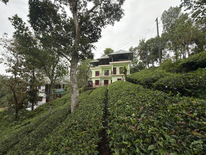 Cottage Inn Munnar - Munnar