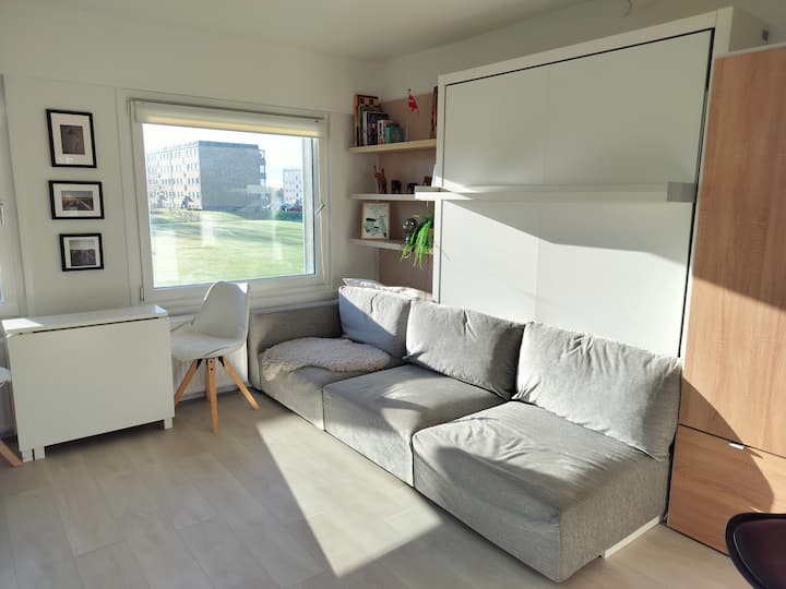 Cozy Studio Apartment - Tanska