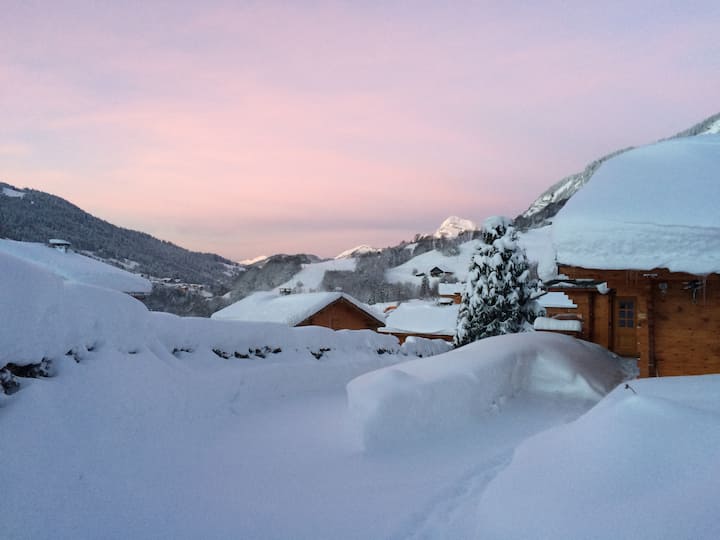 Le Chalet De Guyliane - Vue Montagne - La Giettaz