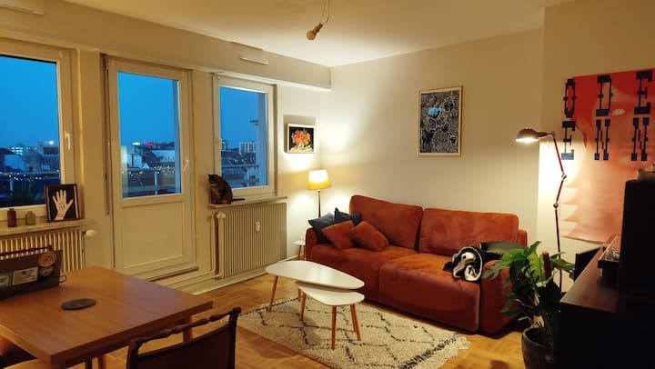 Vue Sur Toits Proche Centre Ville - Strasbourg