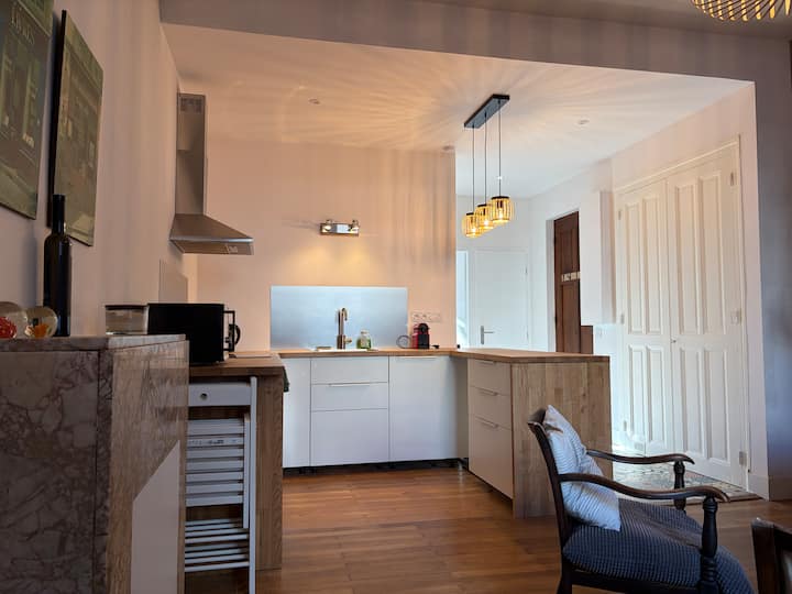 Appartement Rénové à Deux Pas Du Centre-ville - Grenoble