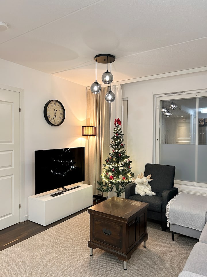 Saunallinen Kotoisa Kaksio Parkkipaikalla - Rovaniemi