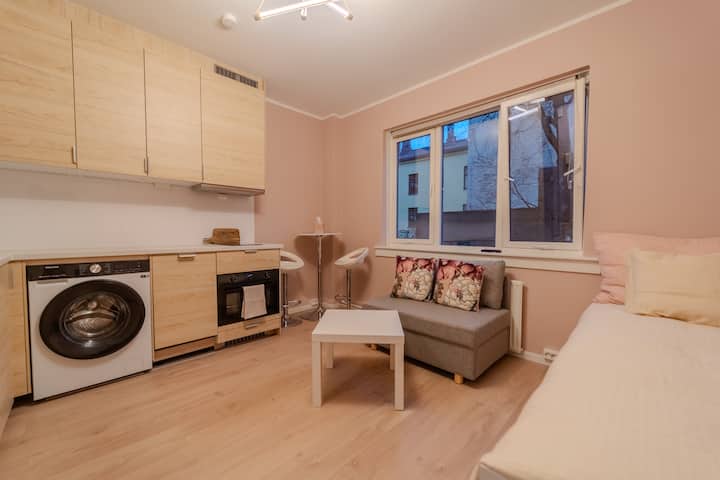 Central, Newly Renovated Studio - Oslo