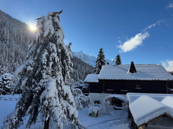 Appartement Rénové 7p Argentière - Proche Pistes ! - Chamonix-Mont-Blanc