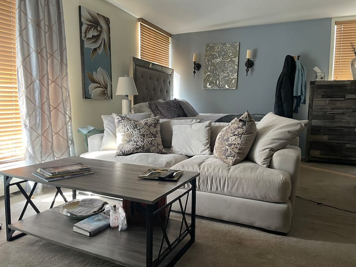 Large In Town Studio With Beautiful Views - Aspen