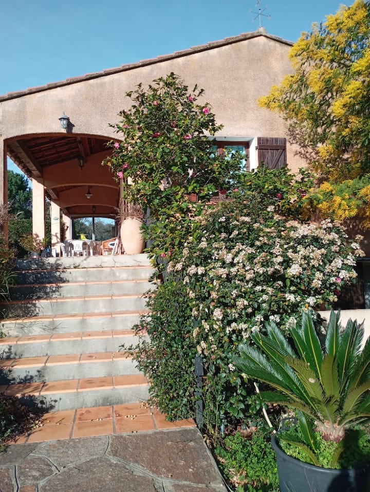 Maison Provençale - Bormes-les-Mimosas