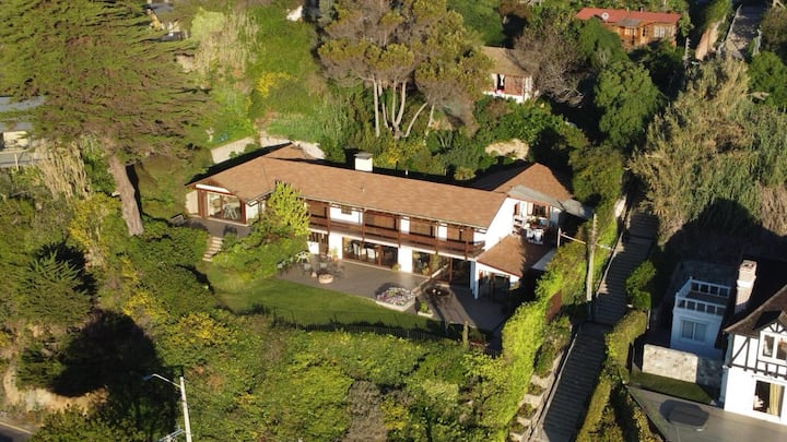 Ciprés Mágico - Concón