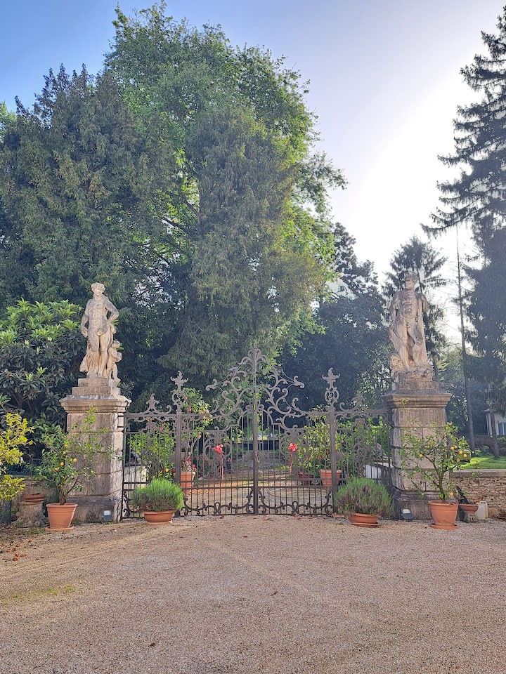 Spazioso Monolocale - Vicenza