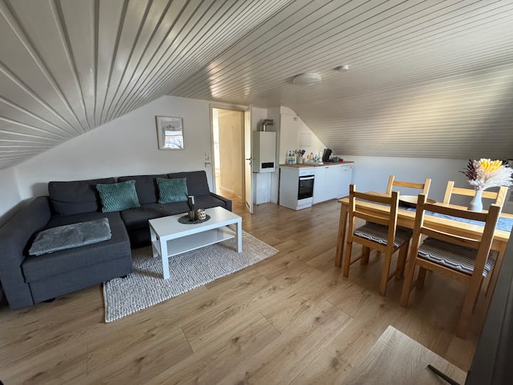 Ferienwohnung Im Zentrum Von Straubing - Straubing