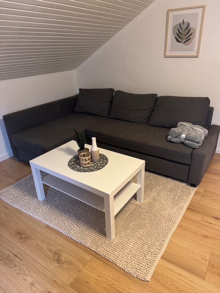 60m3 Wohnung Im Zentrum Von Straubing - Straubing