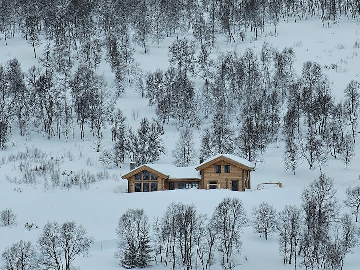 Luksushytte På Vierli Rauland (Vinje) - Norway
