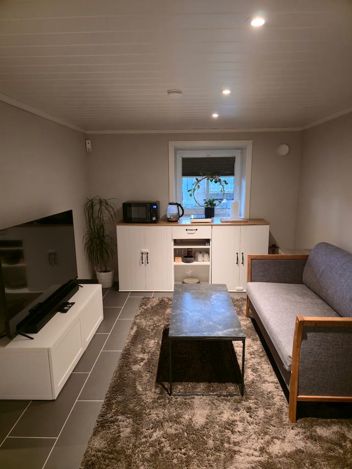 Comfortable Basement Suite. Calm Area Free Parking - Oslo