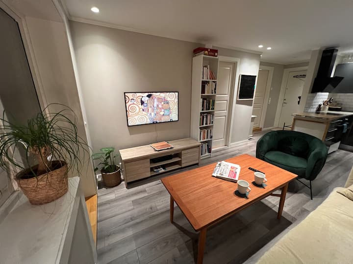 Koselig Leilighet Sentralt I Oslo - Oslo
