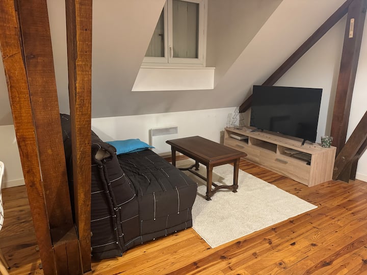 Charmant Appartement à Rodez - Rodez