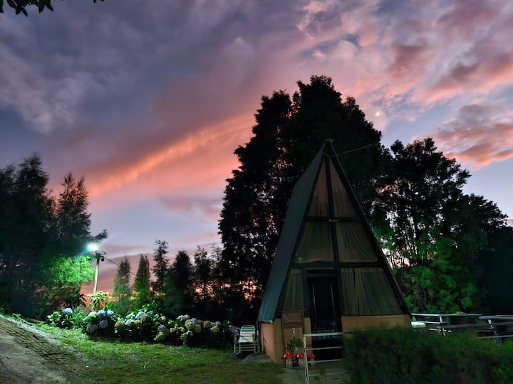 Cabañas De Montaña - Bajos del Toro