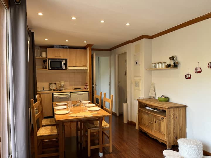 Magnifique T2 à Super-besse - Besse-et-Saint-Anastaise