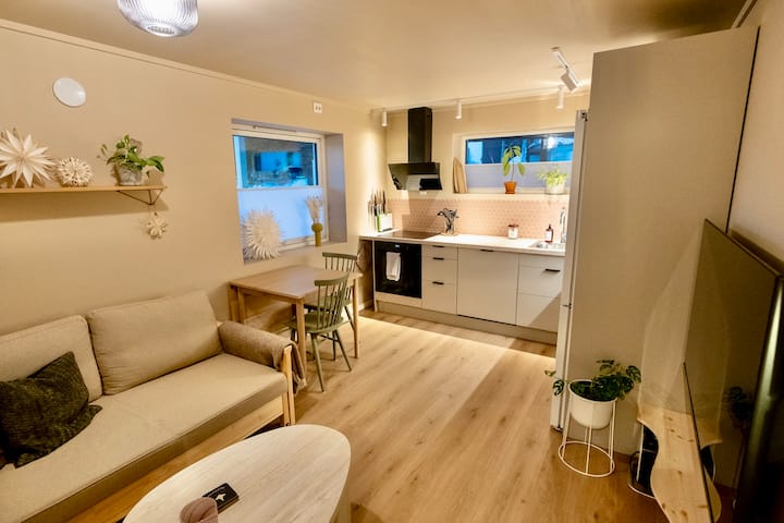 Modern Apartment In Tromsø - Tromsø