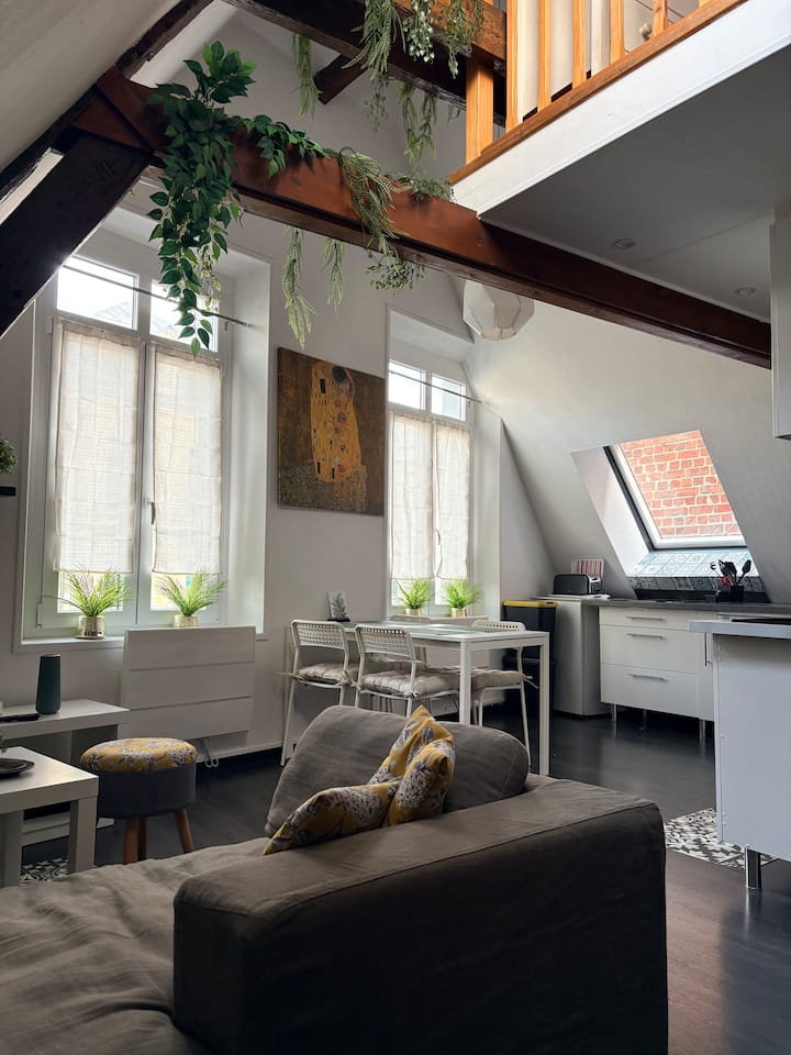 Sous Les Toits Du Centre-ville - Arras