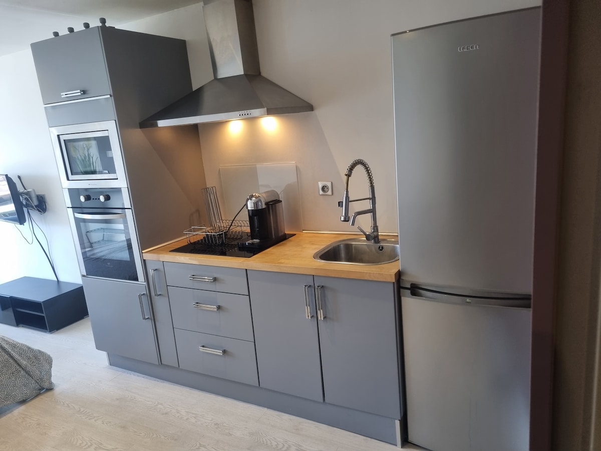 Gran estudio luminoso – Cerca de Viena y Lyon - Apartamentos en ...