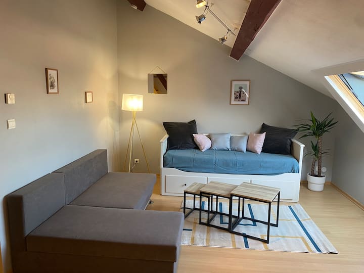 Le Thermal Faure 2 Ch 2 Salles De Bain 80m - Nancy