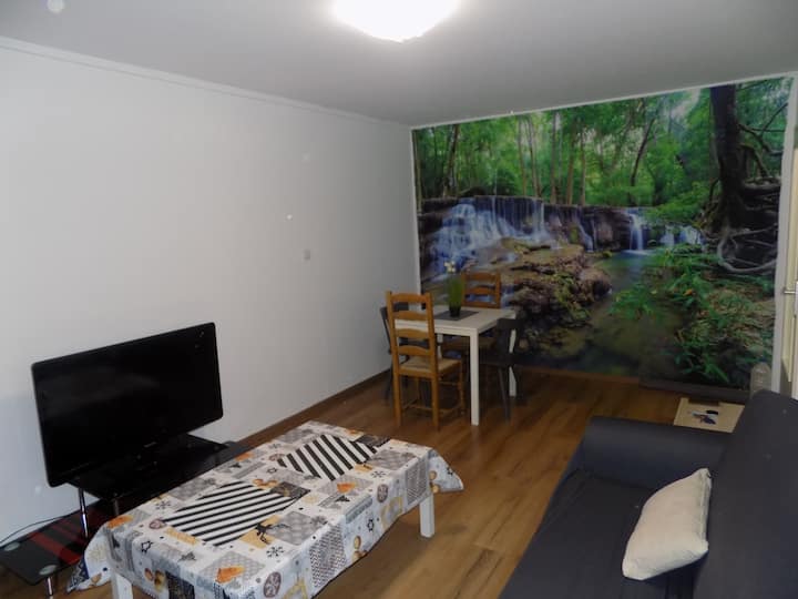 Appartement Complet Illkirch 
Terminus Tramway - Illkirch-Graffenstaden