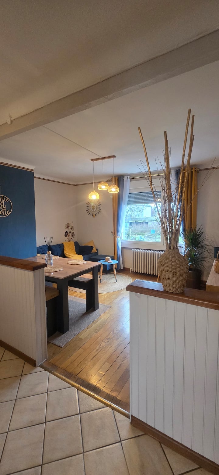 Joli Petit Appartement Cosy - Thionville