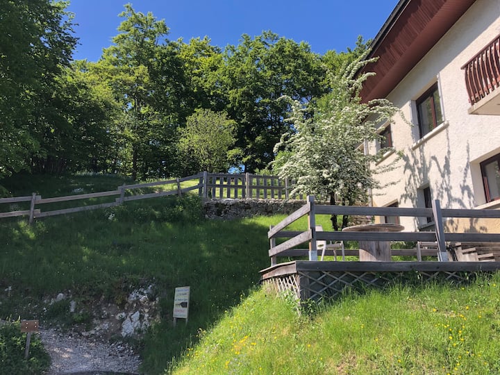 La Vue Du Chasseral - Vaucluse