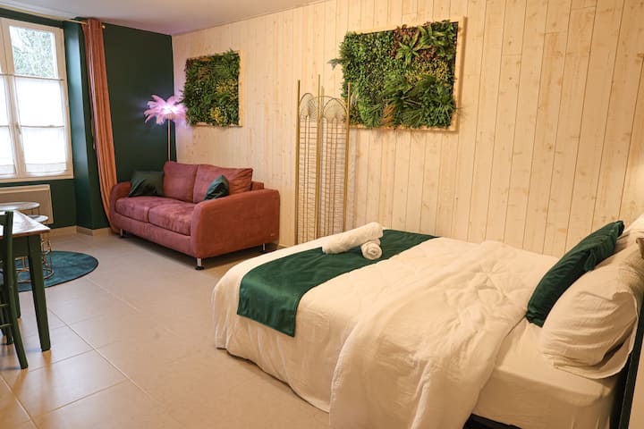 Studio Chic 33 M², Netflix/prime/disney+ - La Flèche