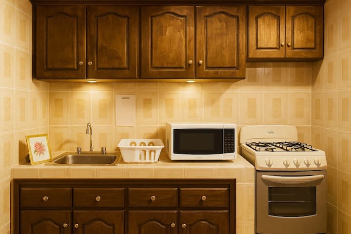 Acogedor Departamento En Toluca - Toluca