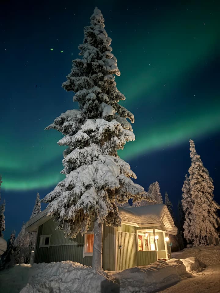Levikka - @Ketturafinland - Kittilä