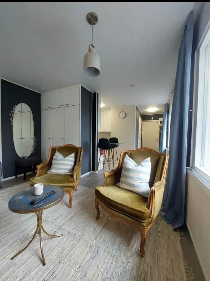 #Persoonallinen Yksiö,  Sauna,  Iso Parkkipaikka# - Kaustinen