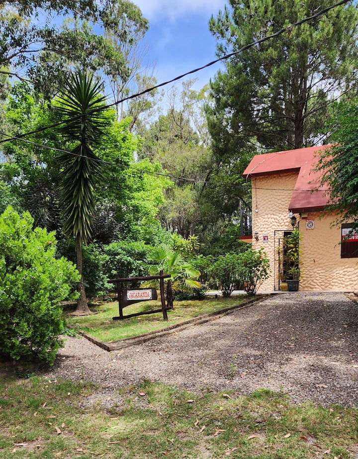 Jacarandá - Guazú-Virá