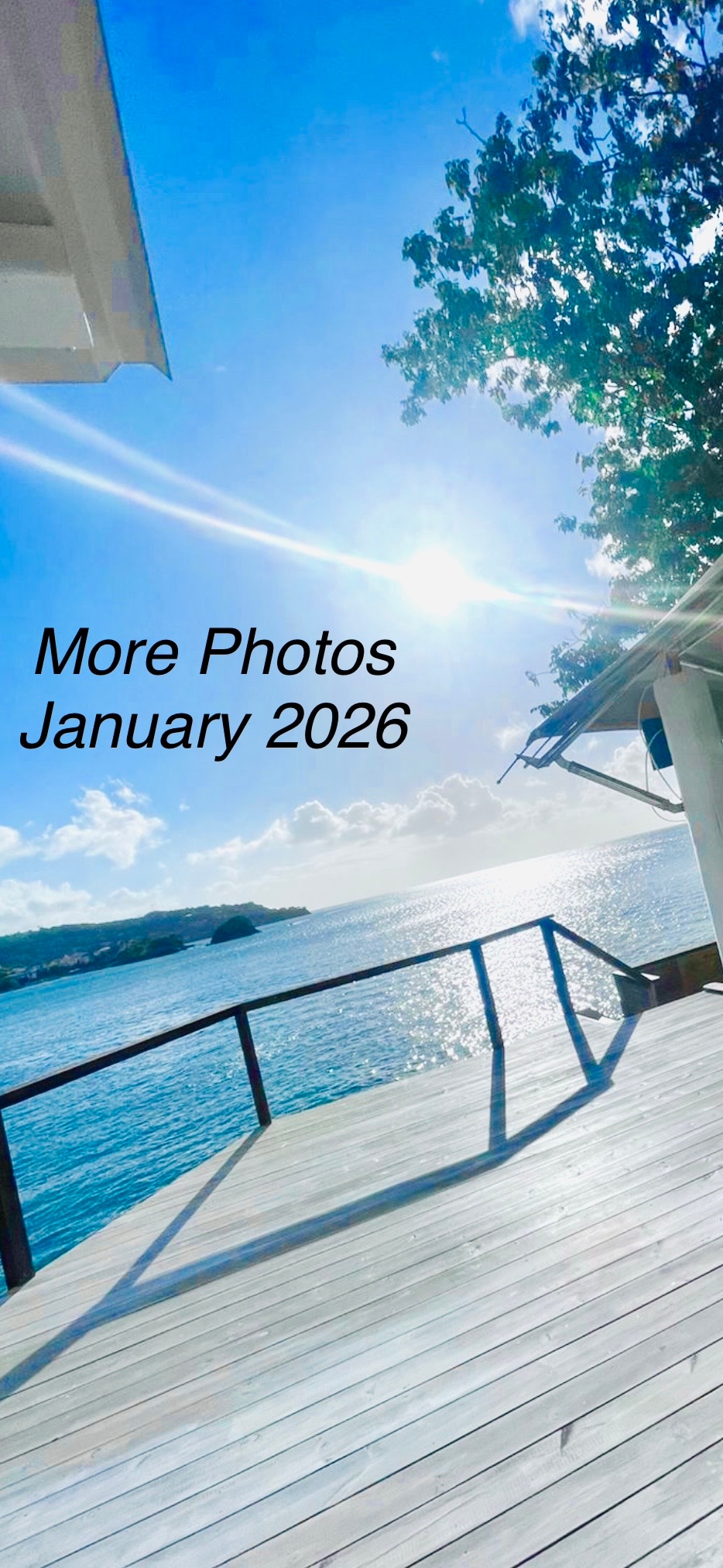 A Luxury Tented Experience - Absolute Waterfront - Tents for Rent in ...