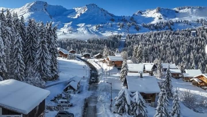 Joli Studio Au Pied Des Pistes Au Praz De Lys. - Taninges