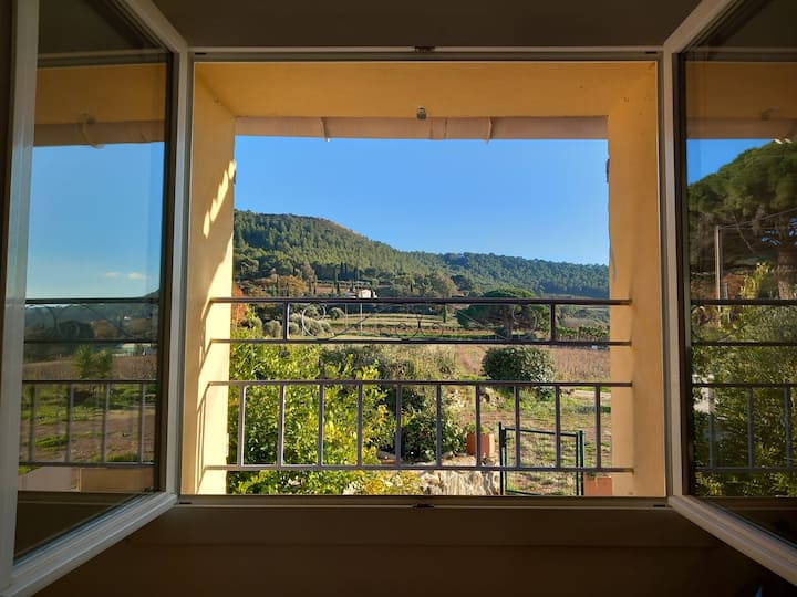 Appartement Dans Mas Provençal Entre Mer Et Vignes - La Cadière-d'Azur