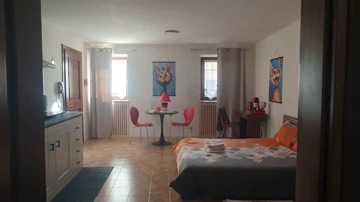 Monolocale S. Pietro - Centro Storico Belluno - Belluno