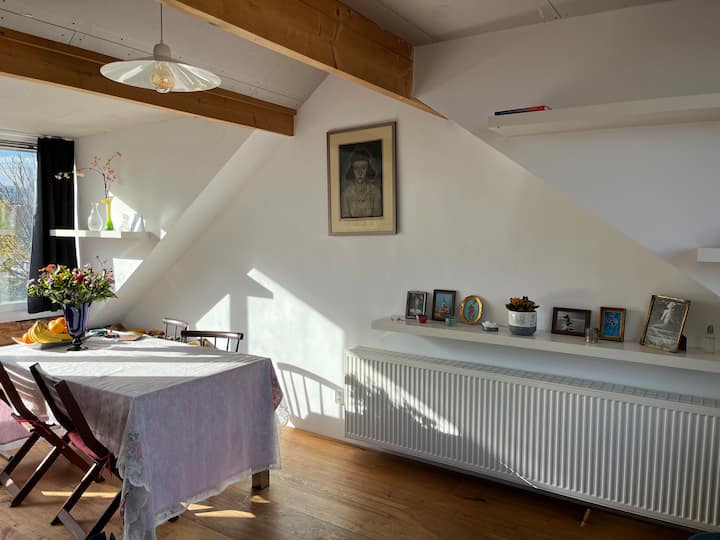 Tiny Light-filled Penthouse In Amsterdam - Amsterdam