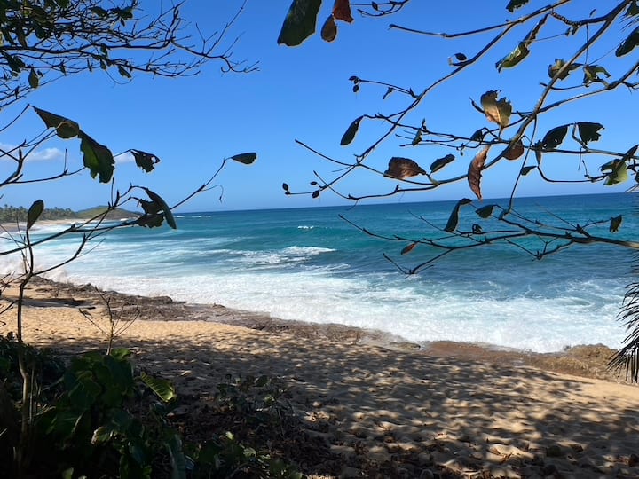 Calm Between The Waves. Modern Coastal 1br Arecibo - Aguada