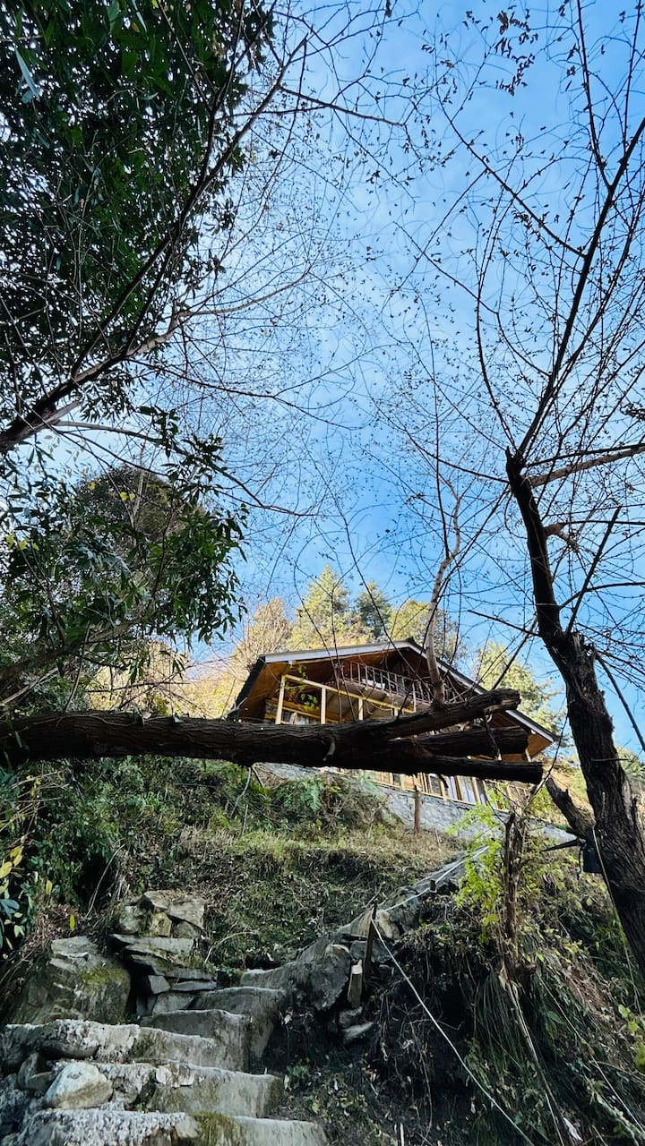 Perch Mountain Tree House - Jibhi
