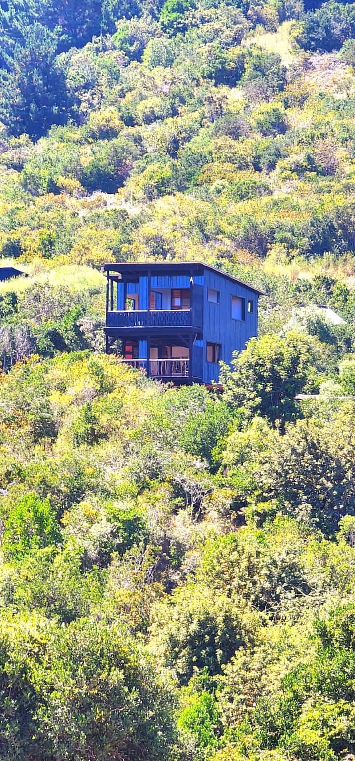 El Templo De Buda Para 5 Vista Al Mar - Cobquecura