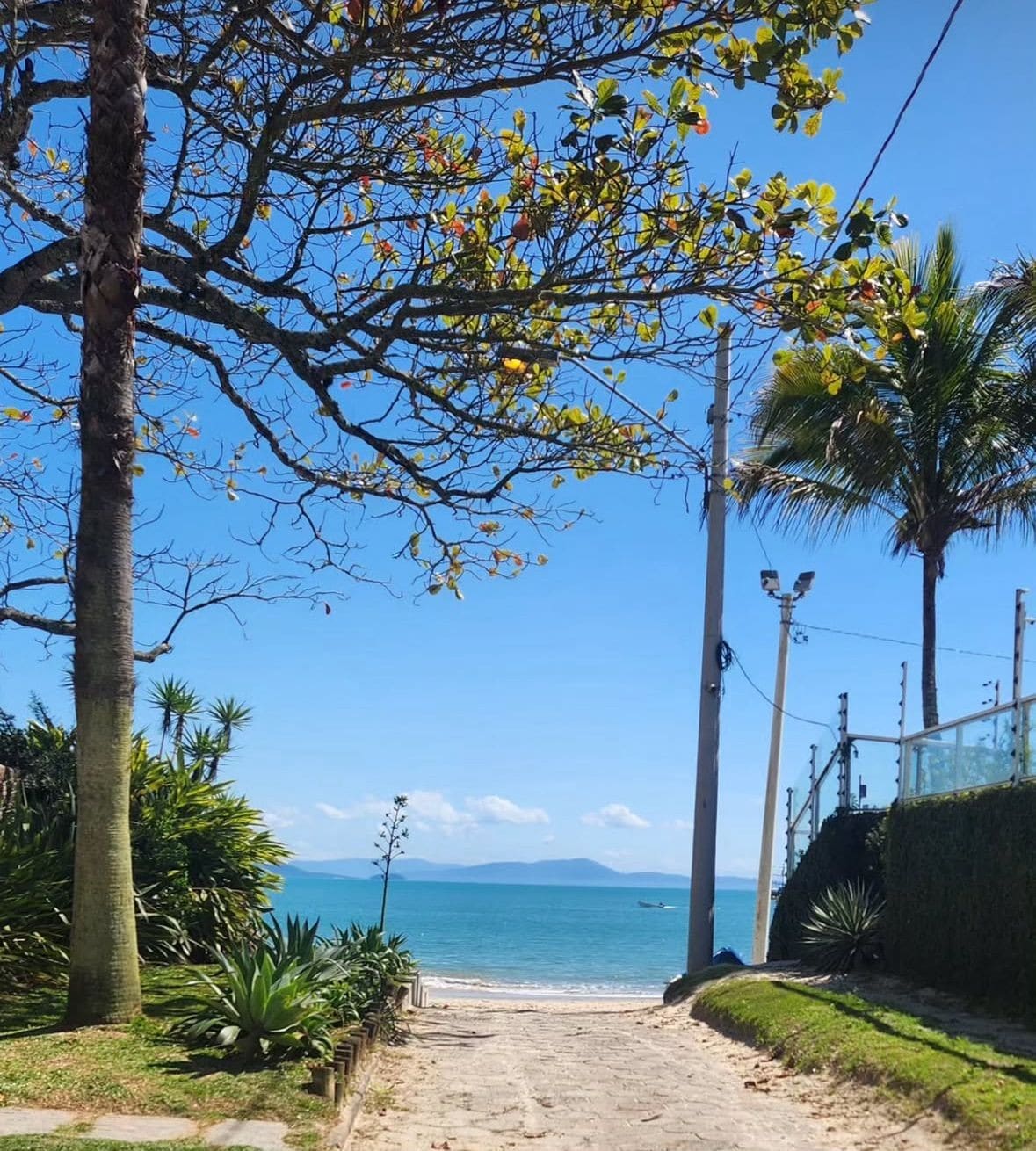 Kitnet na Cachoeira do Bom Jesus - Apartamentos para Alugar em ...