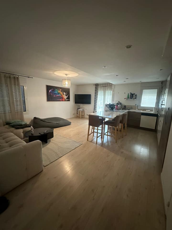 T3 Proche Gare Saint Julien En Genevois - Saint-Julien-en-Genevois