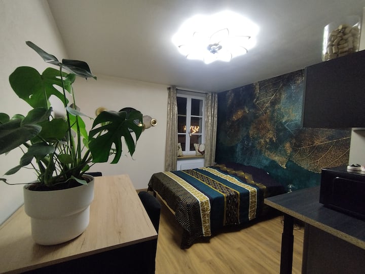 Bienvenue à Vinélys - Obernai