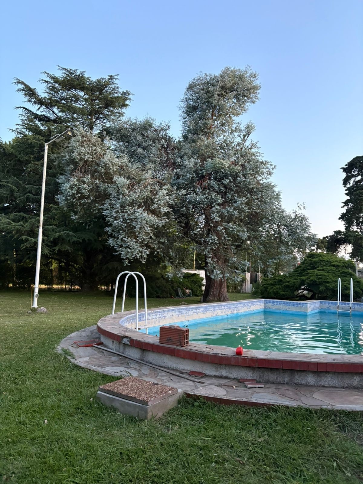 Quinta Finca General Rodriguez (Country House) - Houses for Rent in ...