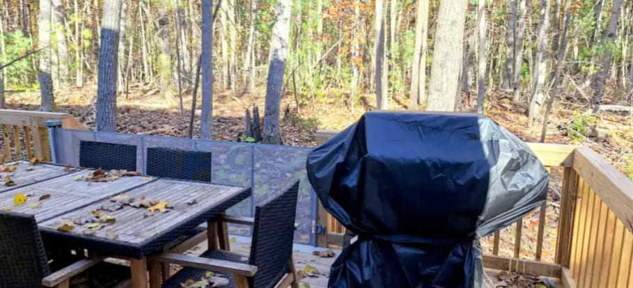 Nepenthe Resort Your upnorth tranquility Sleeps 10 - Houses for Rent in ...