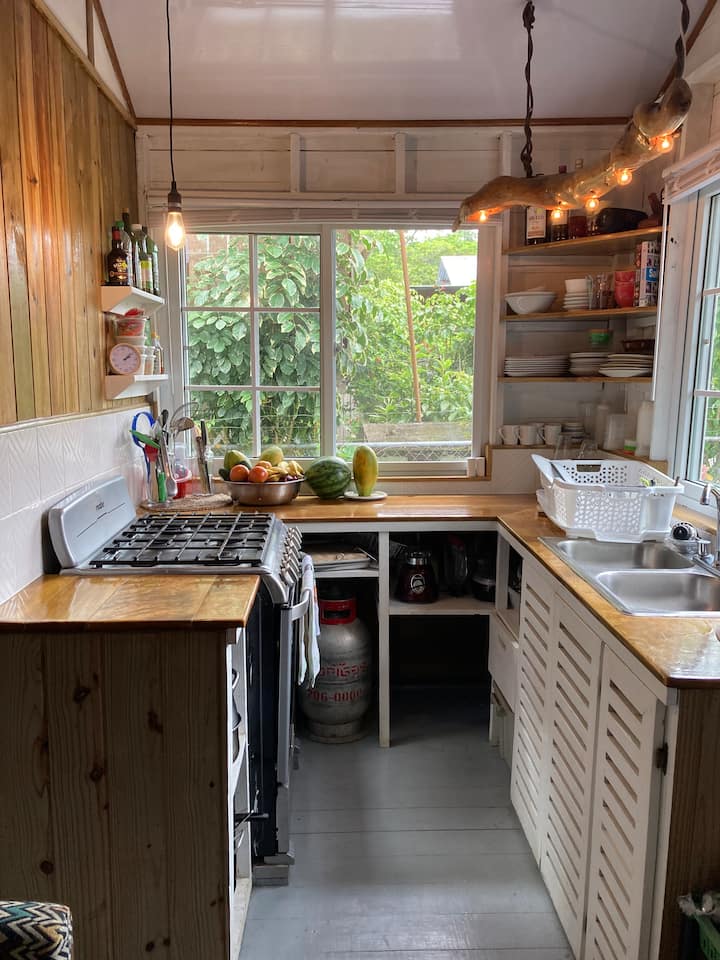 Kola Nut Cabin In Bastimentos Island - Panama