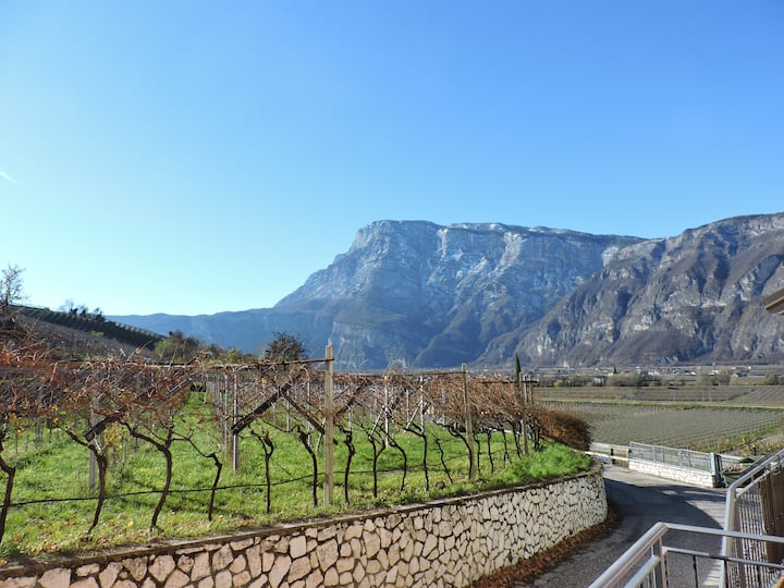 L'ora Del Bianco - Fai della Paganella