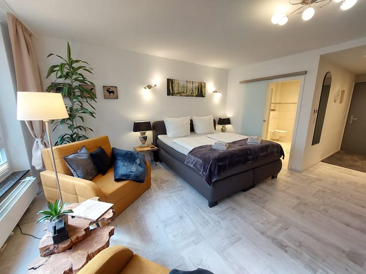 Harzbummel - Bad Harzburg