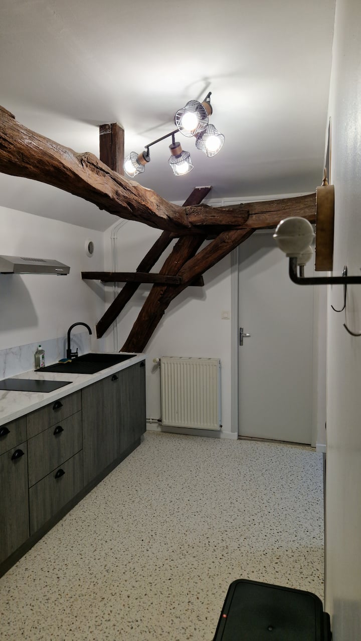 Studio Cosy à Proximité Du Pal - Bourbon-Lancy